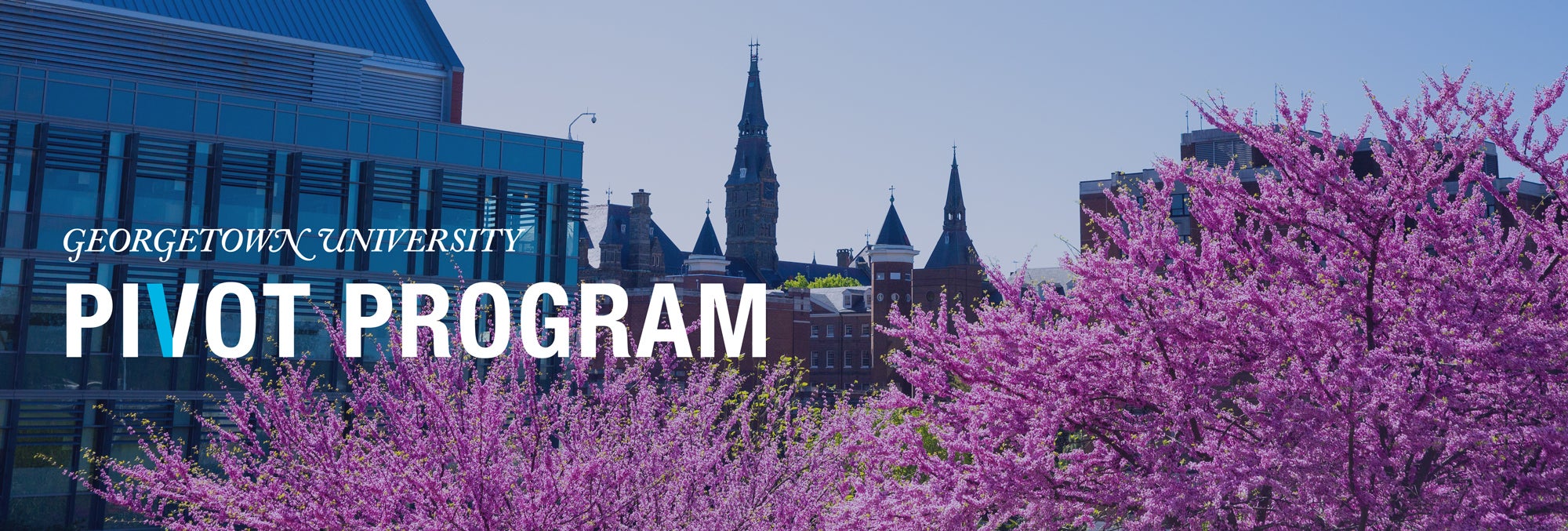 Pivot Fellow Spotlight: Lenard Daye | Pivot Program | Georgetown University